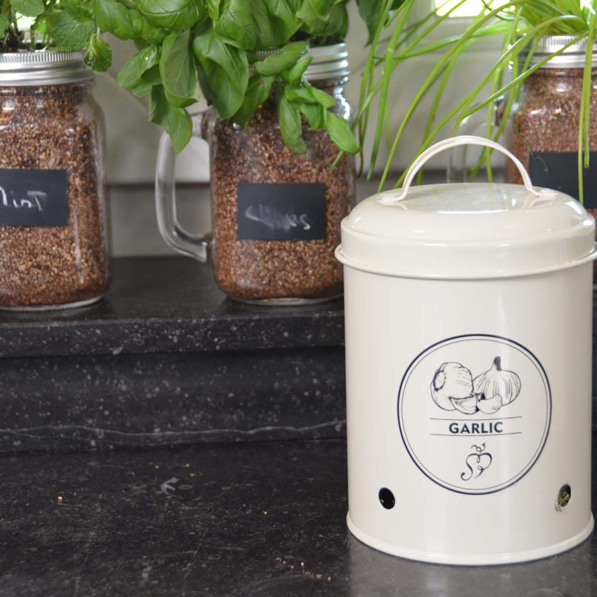 Boîte de conservation pour ail - Rangement légumes Boîte de conservation pour ail - Rangement légumes